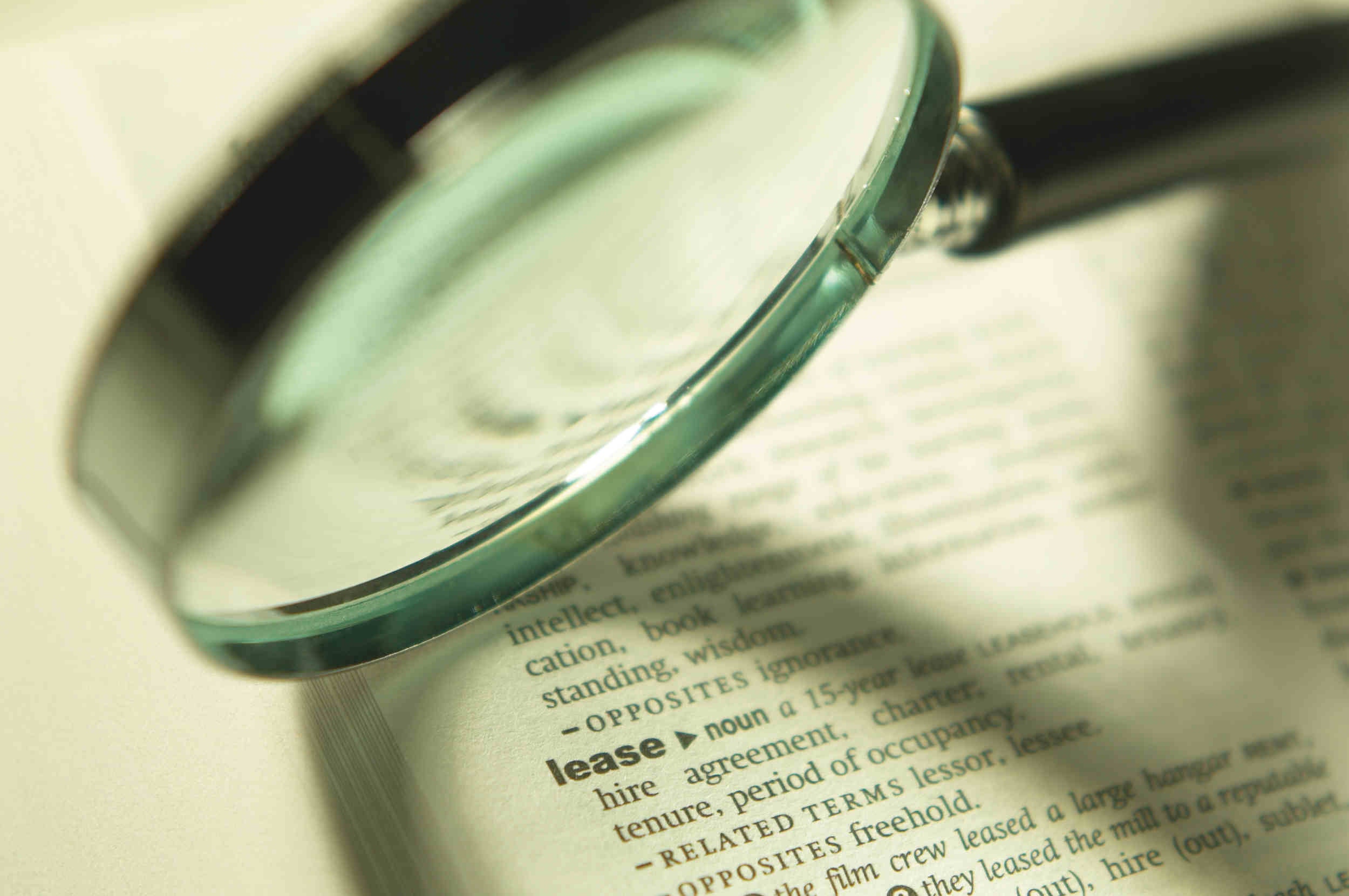 La lupa | La lupa - Blogs hoy.es