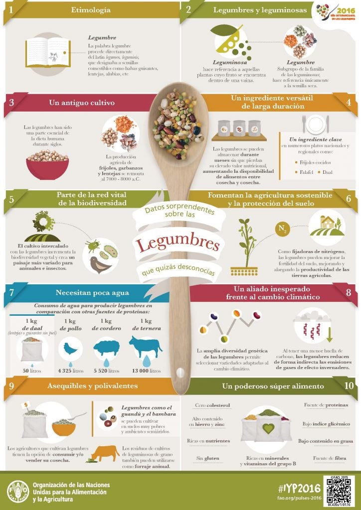 Las legumbres, un súper alimento | Blog de Cultura Científica de la UEx ...